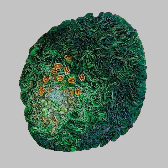 MOSSFLOWER 14 – InterFusion Art